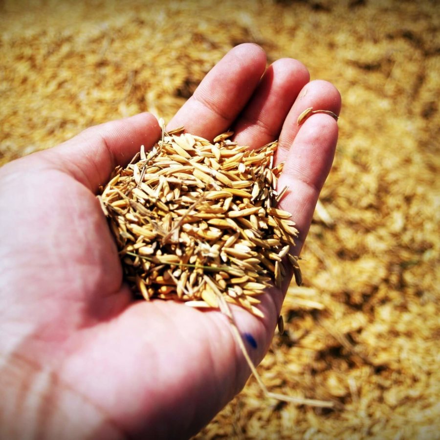 Personal Giving Plan – Systematic Benevolence in the New Millennium