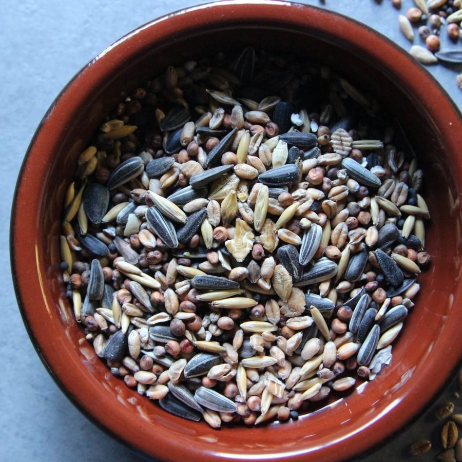 Personal Giving Plan – Systematic Benevolence in the New Millennium